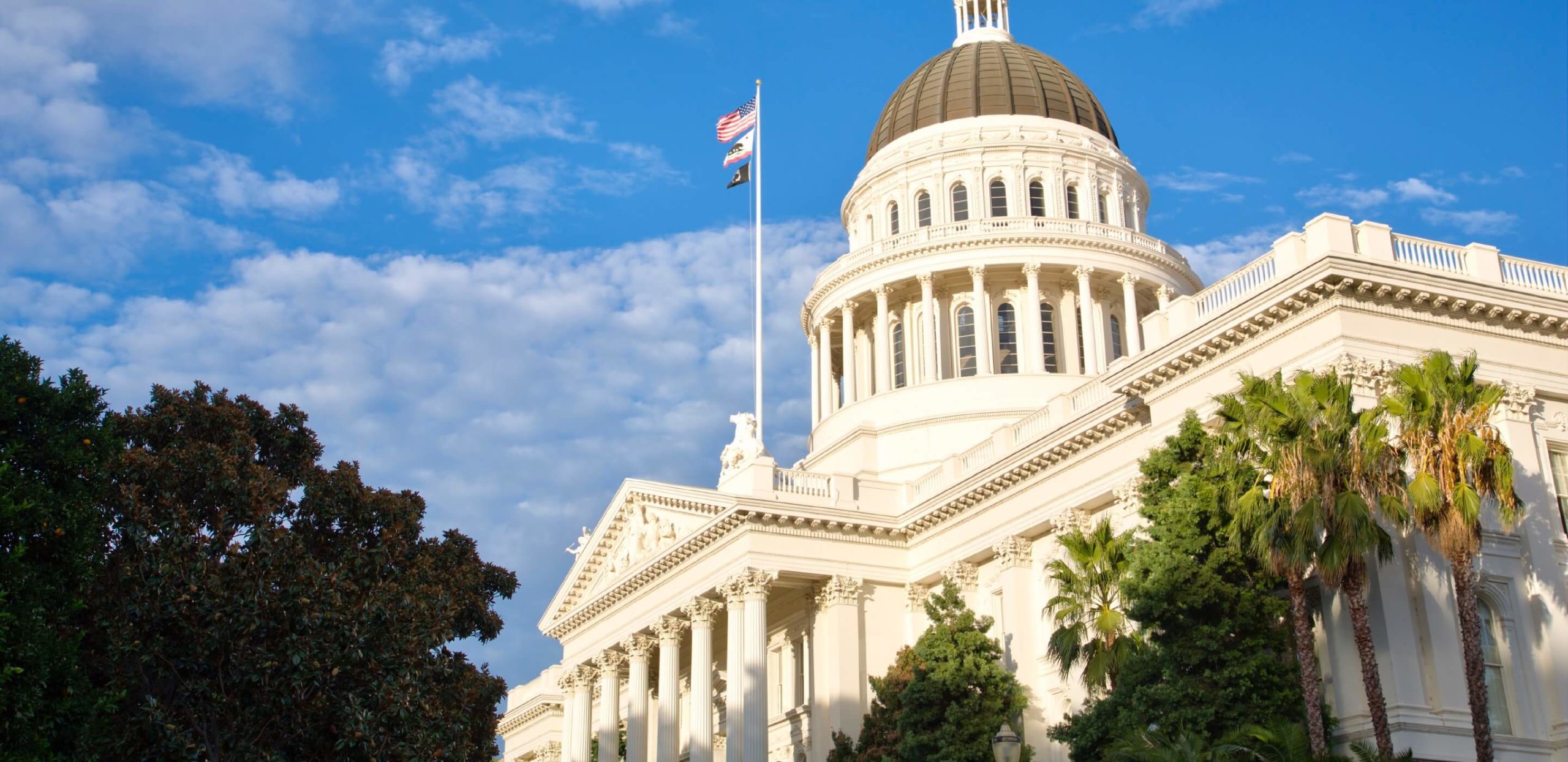 Public Sector Consulting Services | Avasant