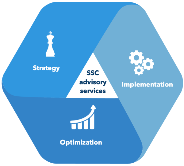 Shared Service Center Consulting - Avasant