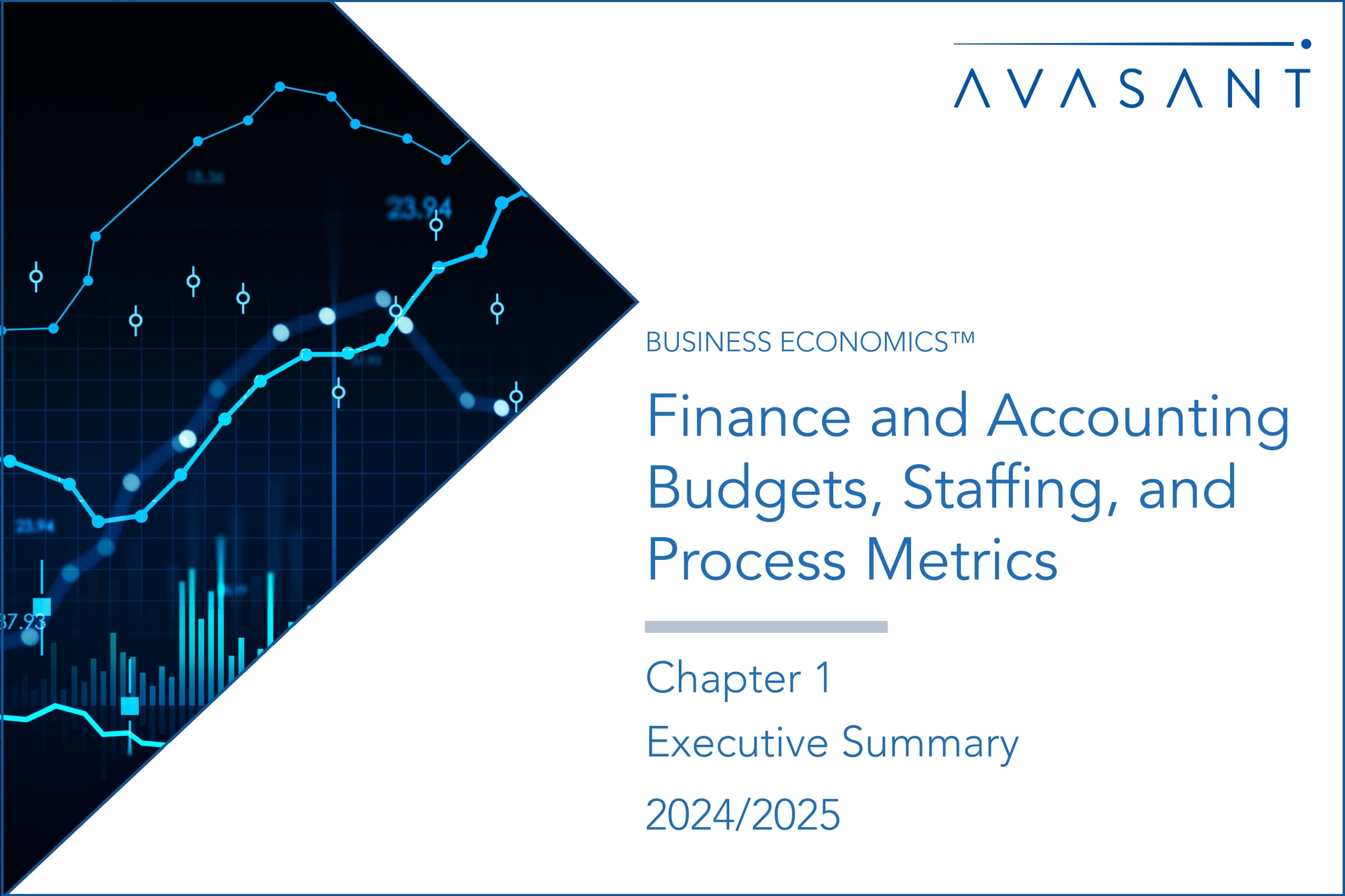 Finance and Accounting Budgets, Staffing, and Process Metrics 2024/2025: Chapter 1: Executive ...