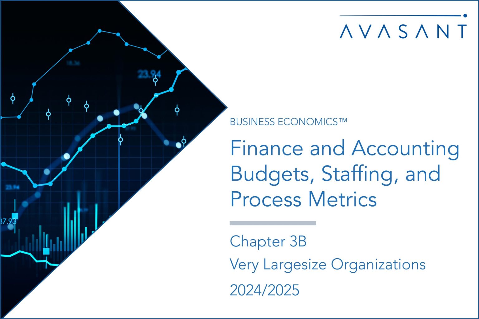 Finance and Accounting Budgets, Staffing, and Process Metrics 2024/2025 ...