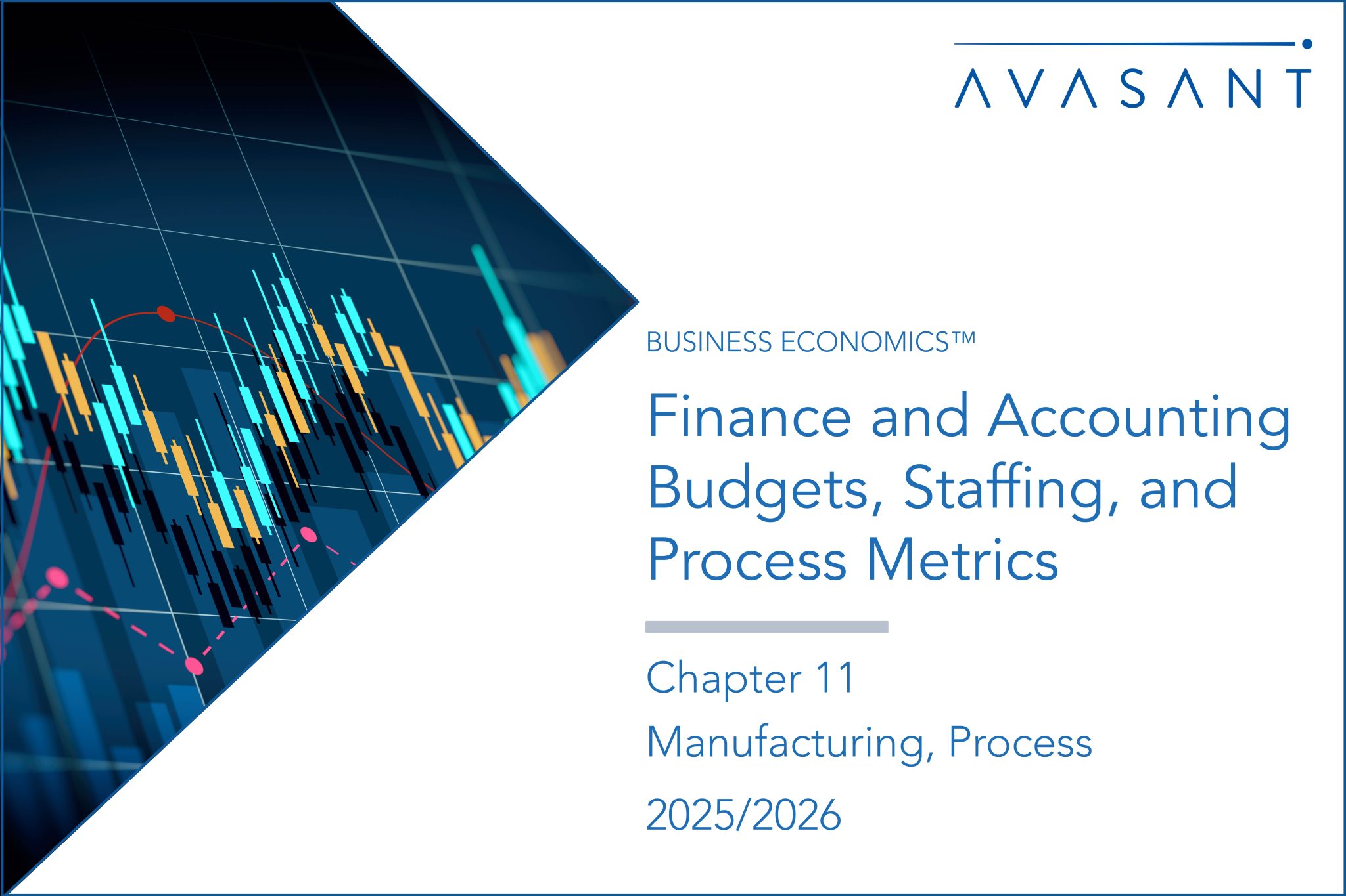 Finance and Accounting Budgets, Staffing, and Process Metrics 2025/2026 ...